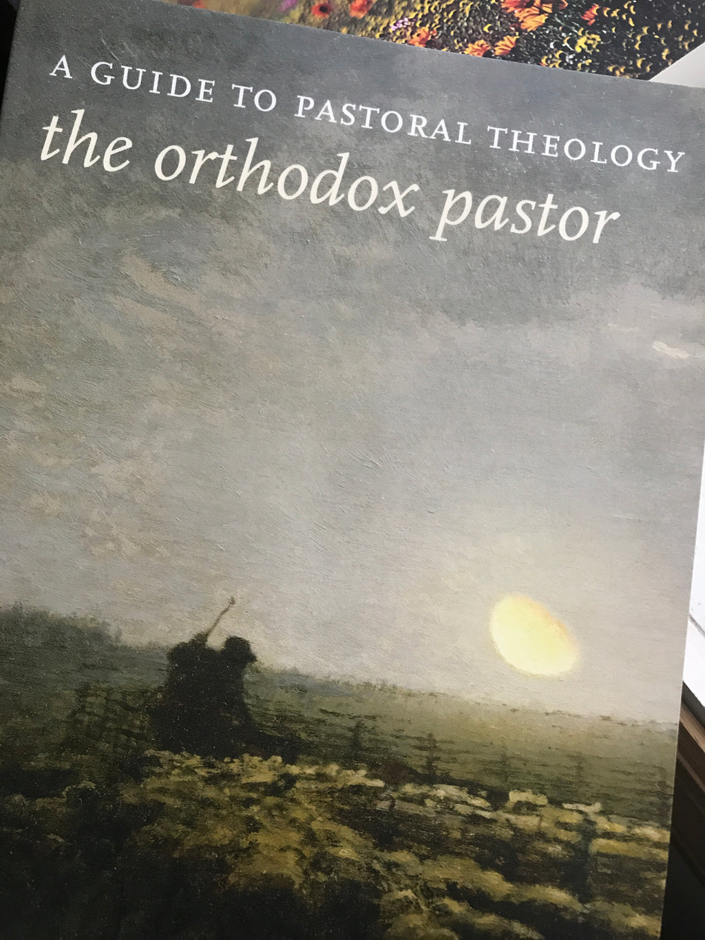 Pastoral Studies